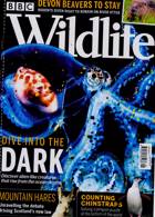 Bbc Wildlife Magazine Subscription | Buy at Newsstand.co.uk | Wildlife