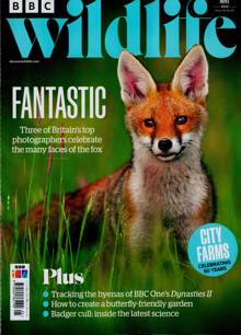 Bbc Wildlife Magazine Subscription | Buy at Newsstand.co.uk | Wildlife