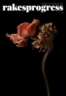 Rakesprogress Magazine Subscription | Buy at Newsstand.co.uk | Gardening