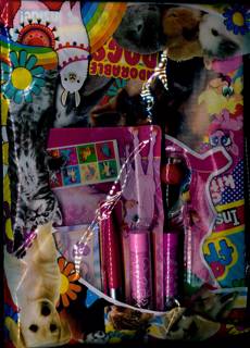 Animal Friends Magazine Subscription | Buy at Newsstand.co.uk | Primary ...