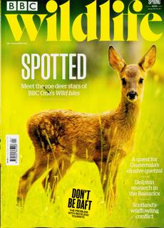 Bbc Wildlife Magazine Subscription | Buy at Newsstand.co.uk | Wildlife
