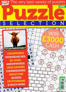 Take A Break Puzzle Selection Magazine Subscription | Buy at Newsstand ...