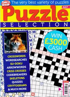 Take A Break Puzzle Selection Magazine Subscription | Buy at Newsstand ...