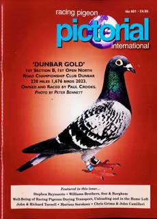 Racing Pigeon Pictorial Magazine Subscription | Buy at Newsstand.co.uk ...