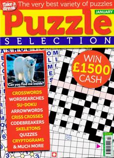 Take A Break Puzzle Selection Magazine Subscription | Buy at Newsstand ...