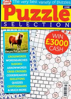 Take A Break Puzzle Selection Magazine Subscription | Buy at Newsstand ...