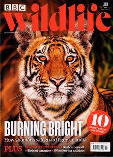 Bbc Wildlife Magazine Subscription | Buy at Newsstand.co.uk | Wildlife