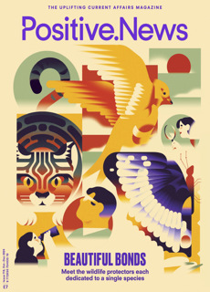 Positive News Magazine Subscription | Buy at Newsstand.co.uk | UK ...