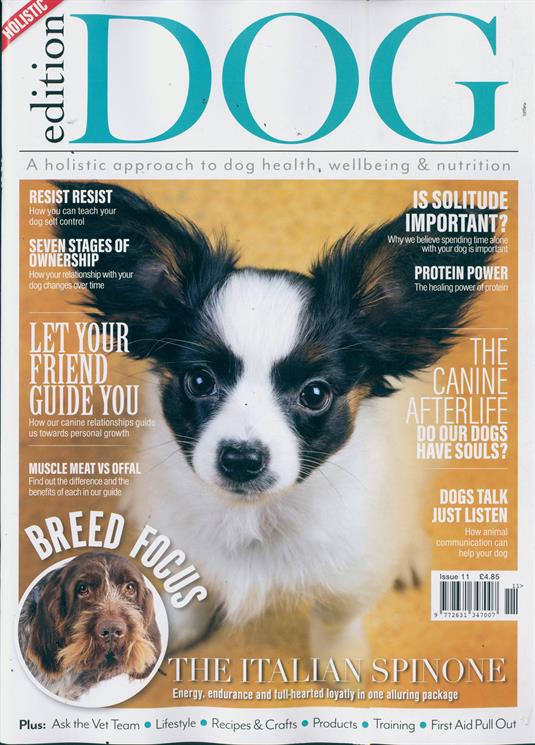 Edition Dog Magazine Subscription | Buy at Newsstand.co.uk | Dogs