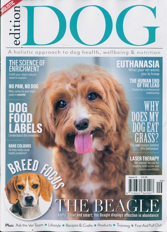 Edition Dog Magazine Subscription | Buy at Newsstand.co.uk | Dogs