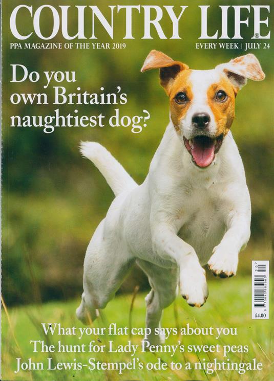 Country Life Magazine Subscription | Buy at Newsstand.co.uk | Countryside