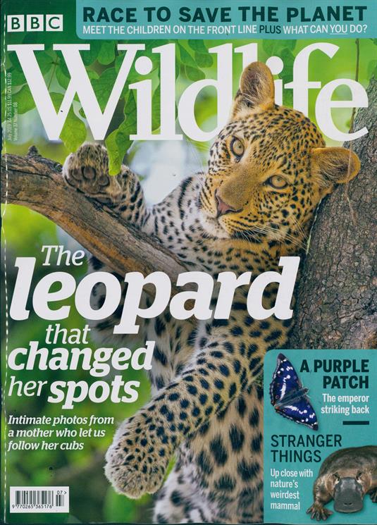 Bbc Wildlife Magazine Subscription | Buy at Newsstand.co.uk | Wildlife