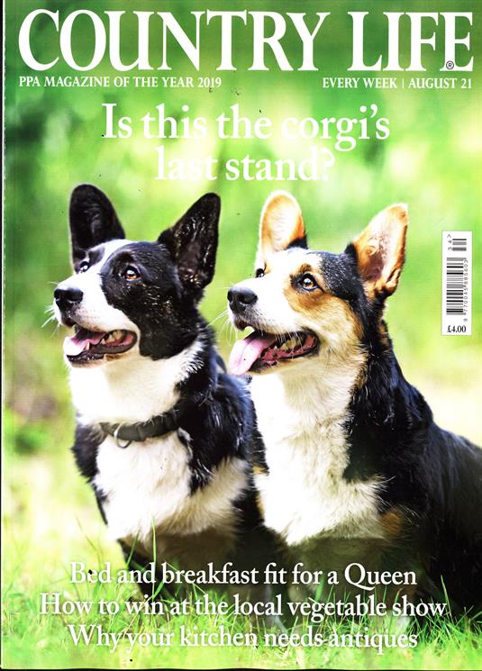 Country Life Magazine Subscription | Buy at Newsstand.co.uk | Countryside