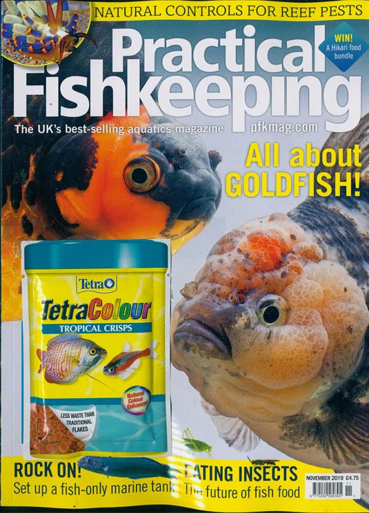 Practical Fishkeeping Magazine Subscription | Buy at Newsstand.co.uk | Fish