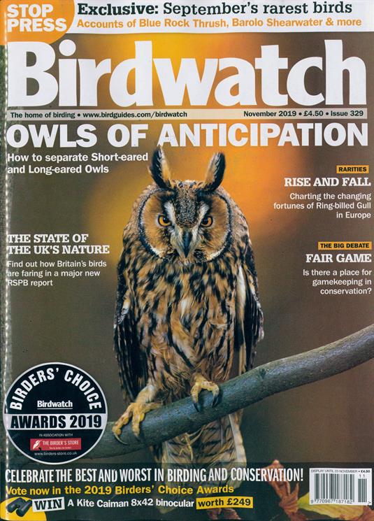 Birdwatch Magazine Subscription | Buy at Newsstand.co.uk | Birds