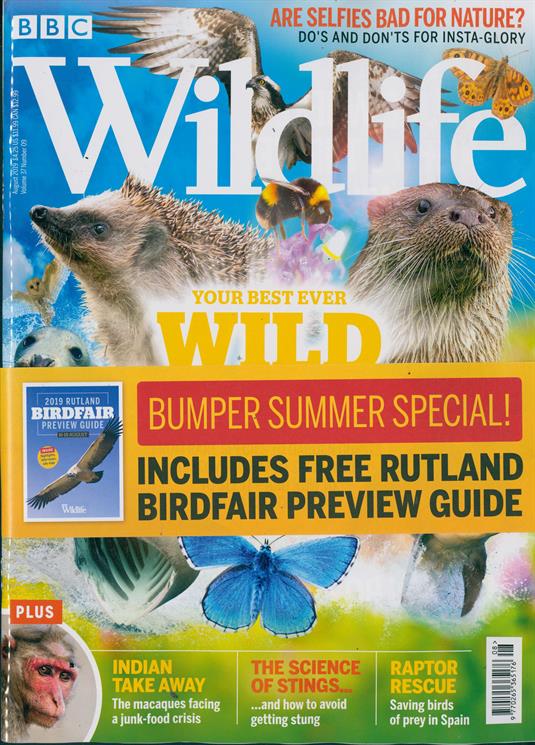 Bbc Wildlife Magazine Subscription | Buy at Newsstand.co.uk | Wildlife