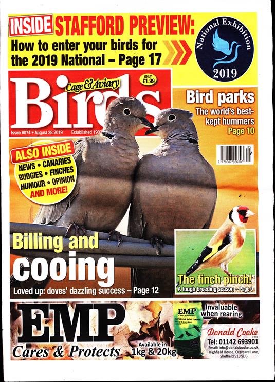Cage And Aviary Birds Magazine Subscription | Buy at Newsstand.co.uk ...