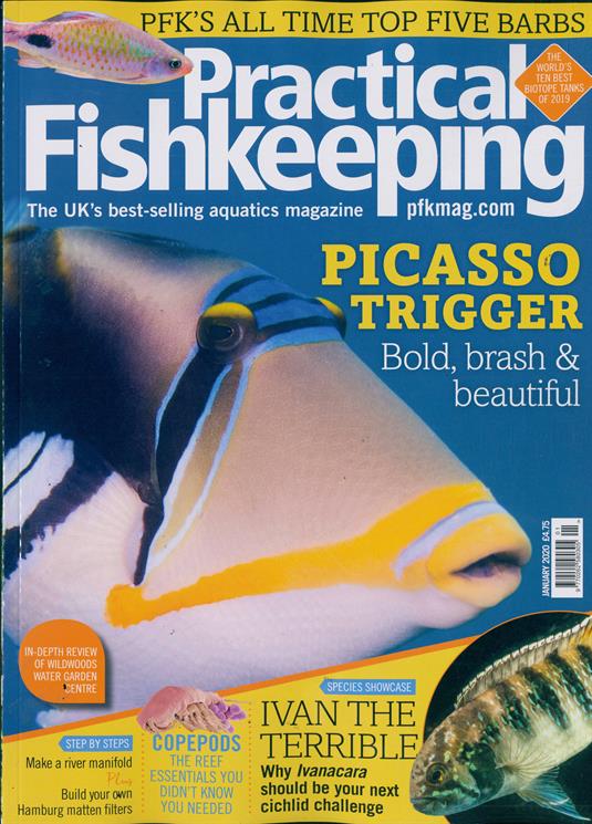 Practical Fishkeeping Magazine Subscription | Buy at Newsstand.co.uk | Fish