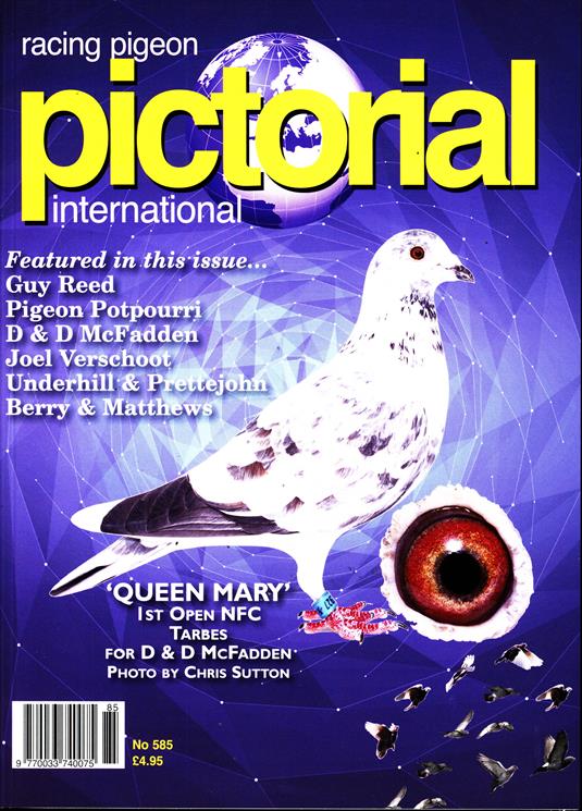 Racing Pigeon Pictorial Magazine Subscription | Buy at Newsstand.co.uk ...