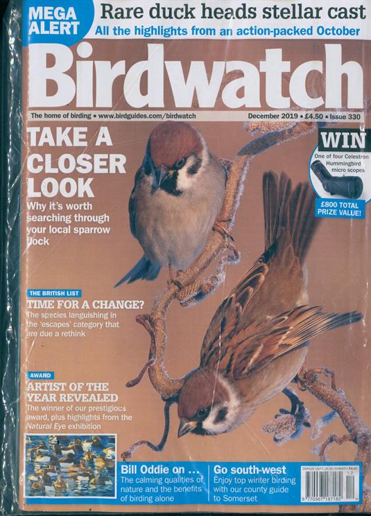 Birdwatch Magazine Subscription | Buy at Newsstand.co.uk | Birds