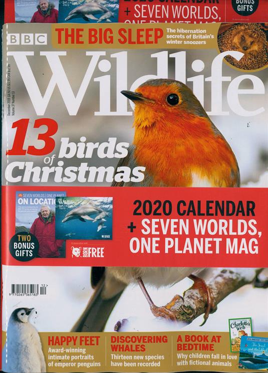 Bbc Wildlife Magazine Subscription | Buy at Newsstand.co.uk | Wildlife