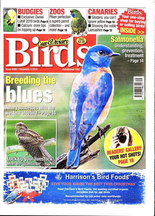 Cage And Aviary Birds Magazine Subscription | Buy at Newsstand.co.uk ...