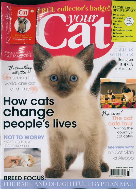 Cats Vintage And New Nude Magazines Muses Forums Sexiezpicz Web Porn
