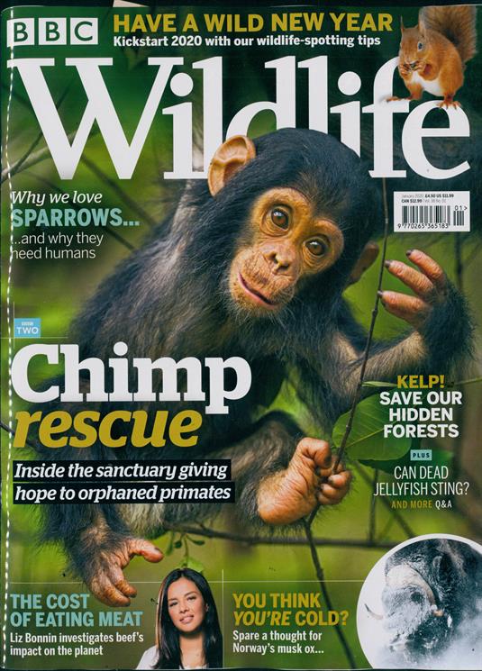 Bbc Wildlife Magazine Subscription | Buy at Newsstand.co.uk | Wildlife