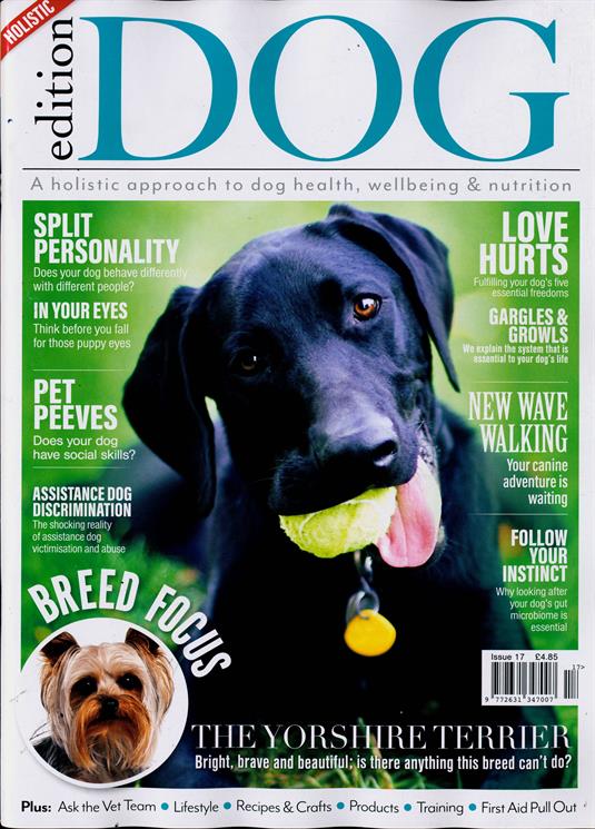 Edition Dog Magazine Subscription | Buy at Newsstand.co.uk | Dogs
