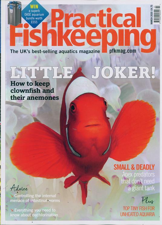 Practical Fishkeeping Magazine Subscription | Buy at Newsstand.co.uk | Fish
