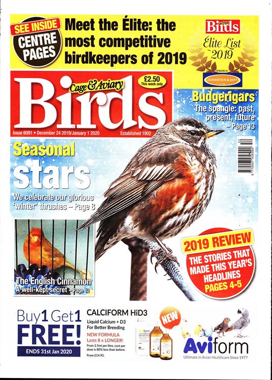 Cage And Aviary Birds Magazine Subscription | Buy at Newsstand.co.uk ...