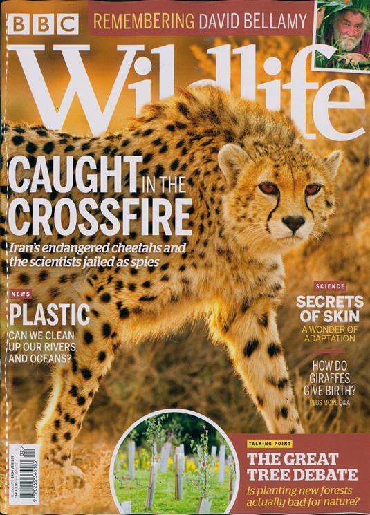 Bbc Wildlife Magazine Subscription | Buy at Newsstand.co.uk | Wildlife