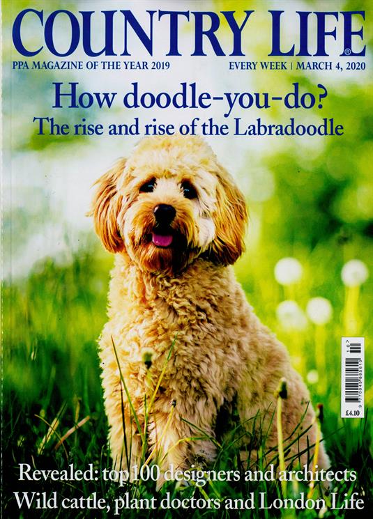Country Life Magazine Subscription | Buy at Newsstand.co.uk | Countryside