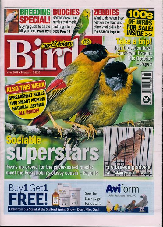 Cage And Aviary Birds Magazine Subscription | Buy at Newsstand.co.uk ...
