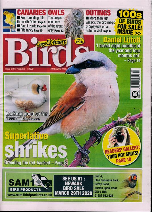 Cage And Aviary Birds Magazine Subscription | Buy at Newsstand.co.uk ...