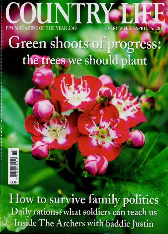 Country Life Magazine Subscription | Buy at Newsstand.co.uk | Countryside