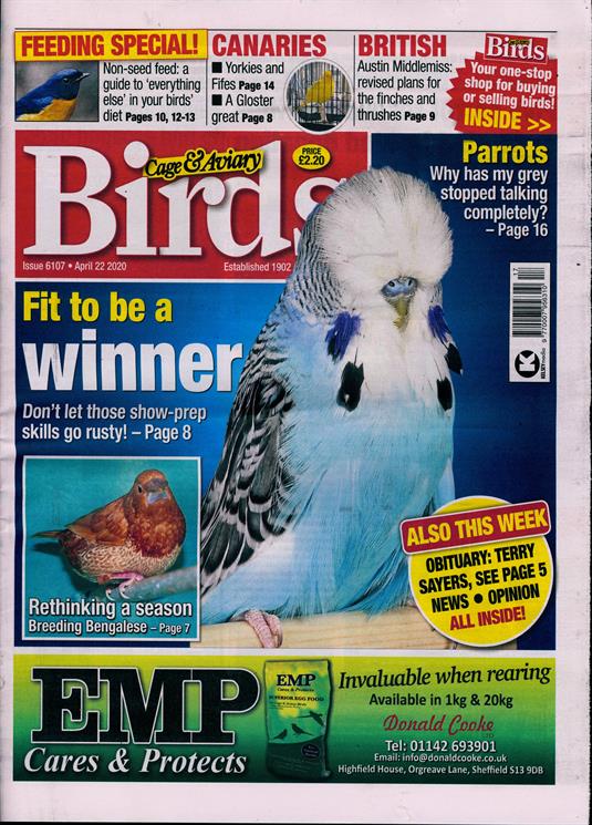 Cage And Aviary Birds Magazine Subscription | Buy at Newsstand.co.uk ...