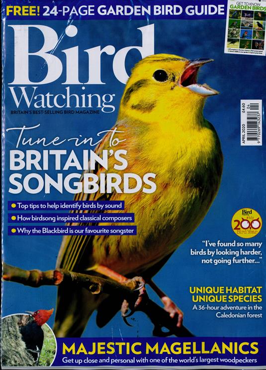 Bird Watching Magazine Subscription | Buy at Newsstand.co.uk | Birds