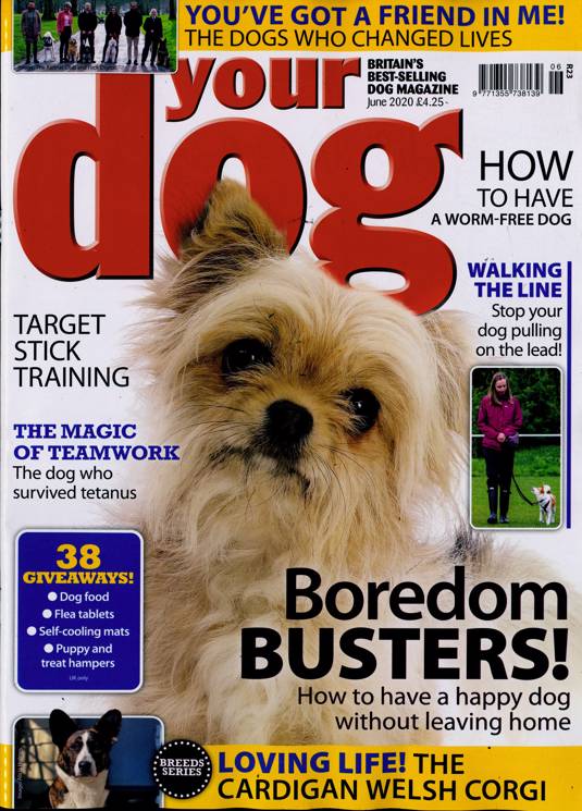 Your Dog Magazine Subscription | Buy at Newsstand.co.uk | Dogs