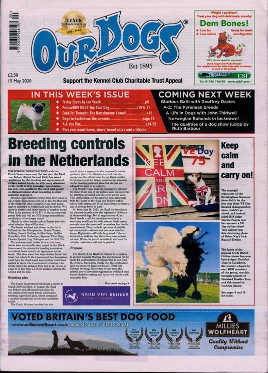 Our Dogs Magazine Subscription | Buy at Newsstand.co.uk | Dogs