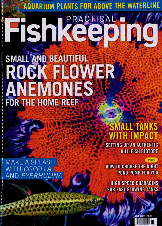 Practical Fishkeeping Magazine Subscription | Buy at Newsstand.co.uk | Fish