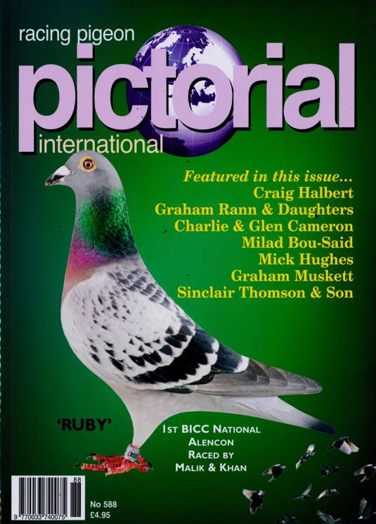 Racing Pigeon Pictorial Magazine Subscription | Buy at Newsstand.co.uk ...