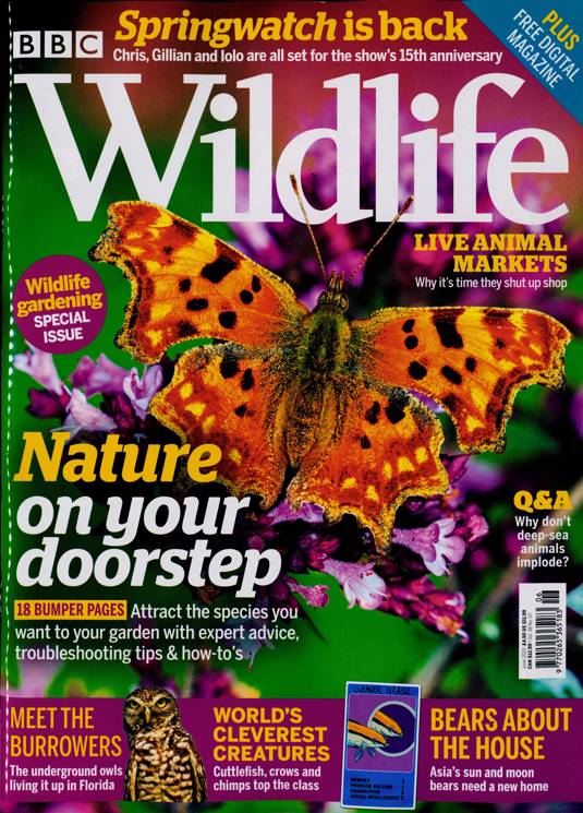 Bbc Wildlife Magazine Subscription | Buy at Newsstand.co.uk | Wildlife
