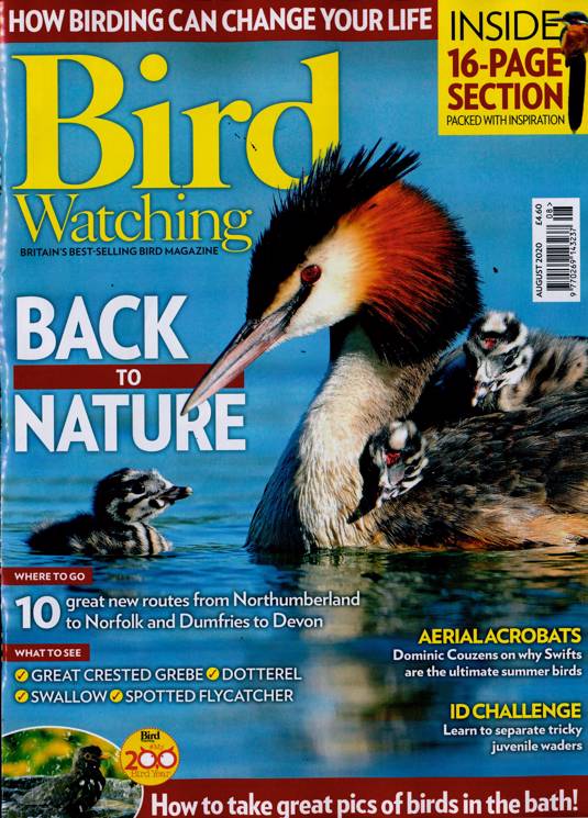 Bird Watching Magazine Subscription | Buy at Newsstand.co.uk | Birds