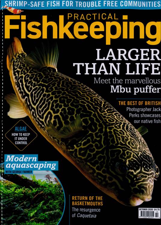 Practical Fishkeeping Magazine Subscription | Buy at Newsstand.co.uk | Fish