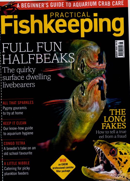 Practical Fishkeeping Magazine Subscription | Buy at Newsstand.co.uk | Fish