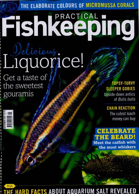 Practical Fishkeeping Magazine Subscription | Buy at Newsstand.co.uk | Fish