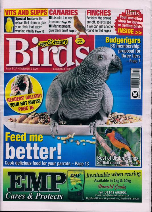 Cage And Aviary Birds Magazine Subscription | Buy at Newsstand.co.uk ...
