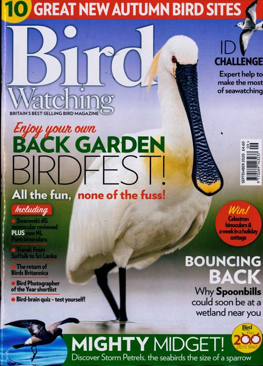 Bird Watching Magazine Subscription | Buy at Newsstand.co.uk | Birds