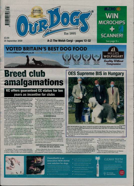 Our Dogs Magazine Subscription | Buy at Newsstand.co.uk | Dogs